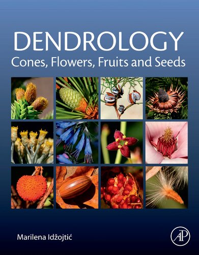 Ebook – Dendrology : cones, flowers, fruits and seeds (PDF Instant Download) – Ebook Store