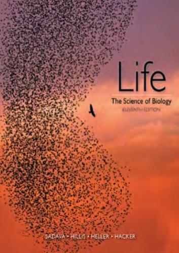 Ebook – Life The Ience Of Biology 11Th Edition (PDF Instant Download ...
